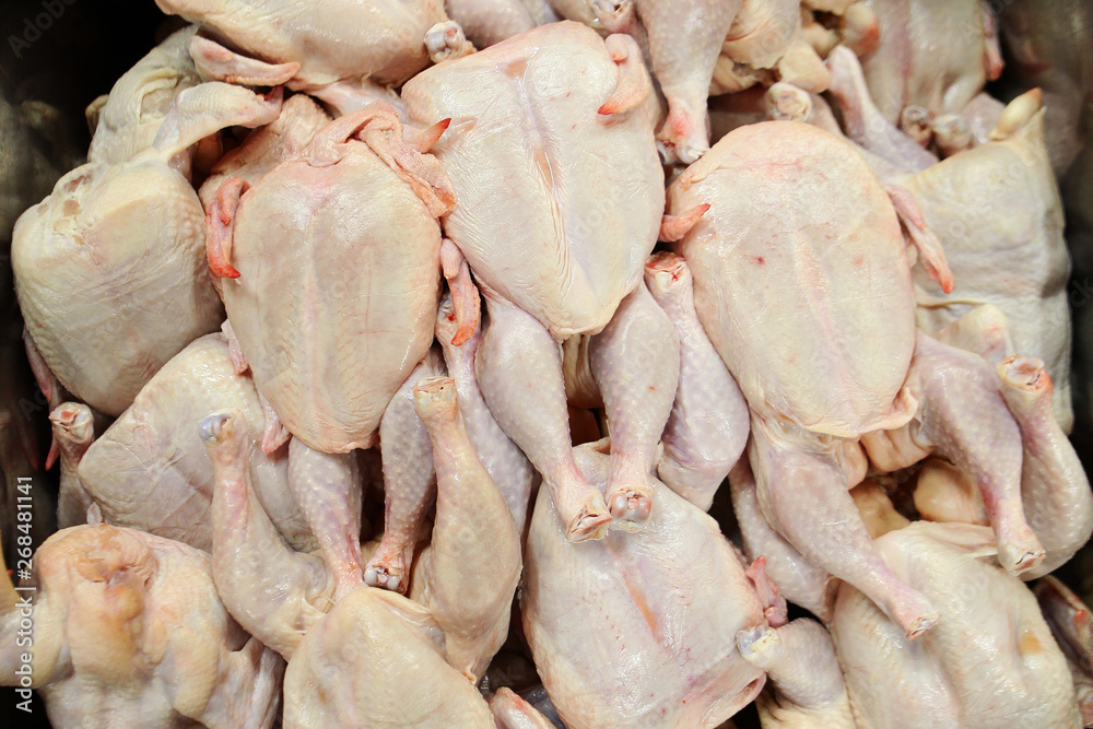 Chicken carcasses are in the drawer at the meat factory. Horizontal ...