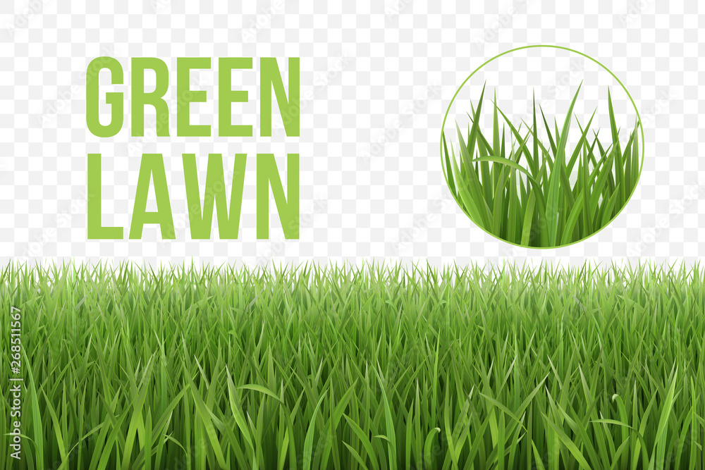 Vector realistic Grass pattern for design Stock Vector | Adobe Stock