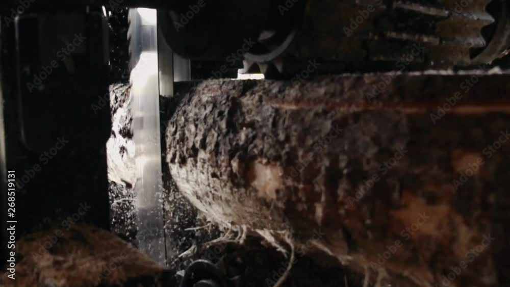 Vidéo Stock production of wooden lumber and planks. A sawmill blade ...