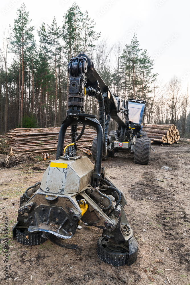 Forestry harvester machine. Felling head detail. Logging in damaged ...