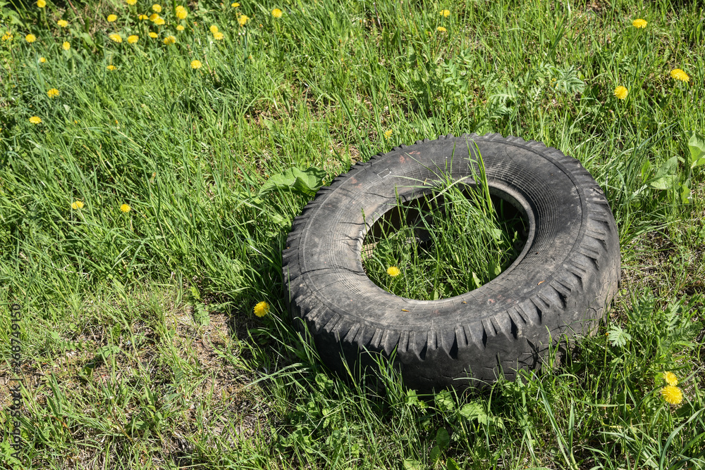 Destroyed rubber car tire on the grass close-up.Environmental ...