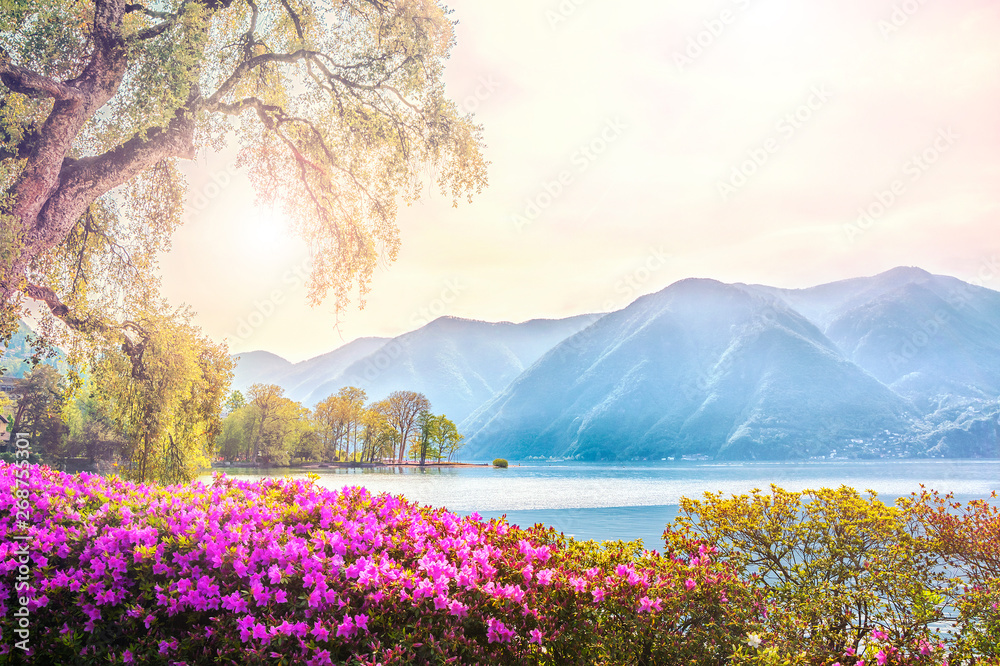 Beautiful Mountain Gardens