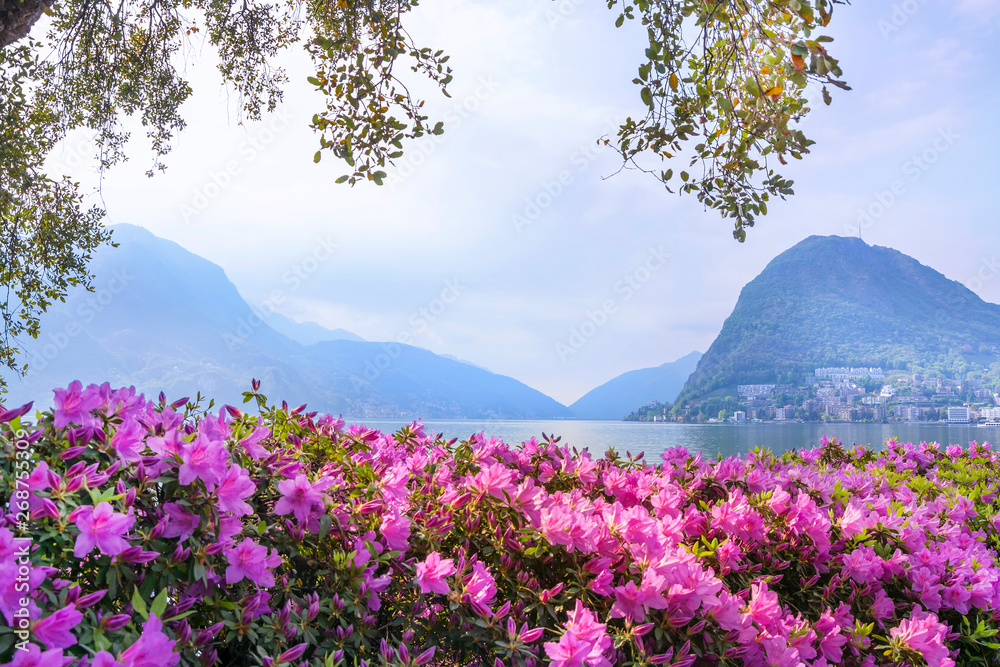 Beautiful Mountain Gardens