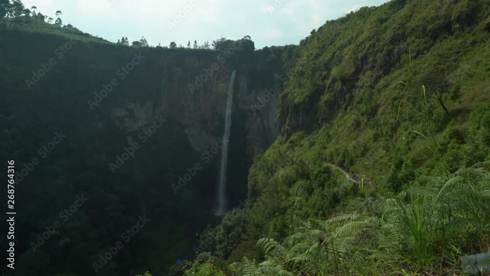 Tilt reveal of jungle-covered cliffside with bright red flowers and ...