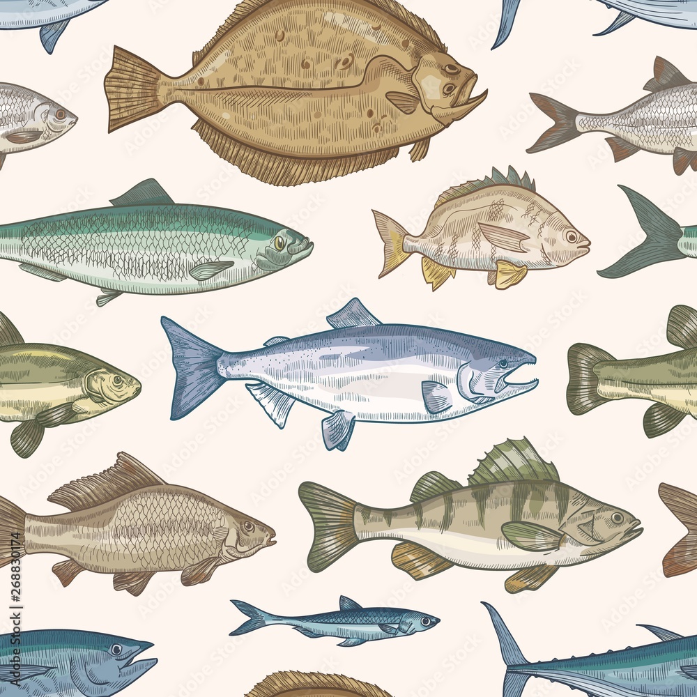 Elegant seamless pattern with different types of fish on light ...