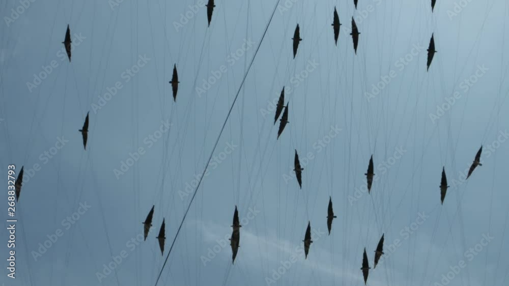 Forged sculptures of flying birds in the air on the city street, time ...