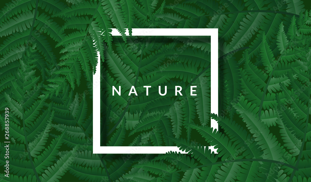 Nature frame with green fern leaves and white frame. Vector ...