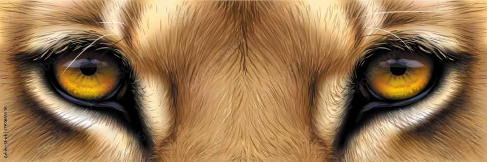 Big eyes. Yellow eyes of a lion close up. vector de Stock | Adobe Stock