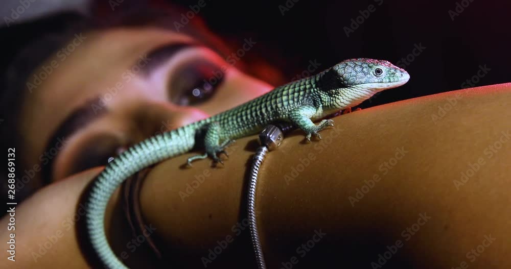 Vídeo do Stock: An up close shot of a blue and green Mexican Alligator ...