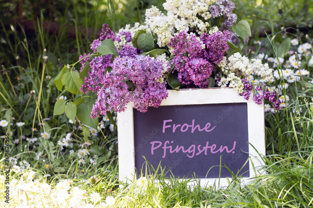 Tafel mit Text"Frohe Pfingsten" mit Flieder und Gänseblümchen im Garten ...