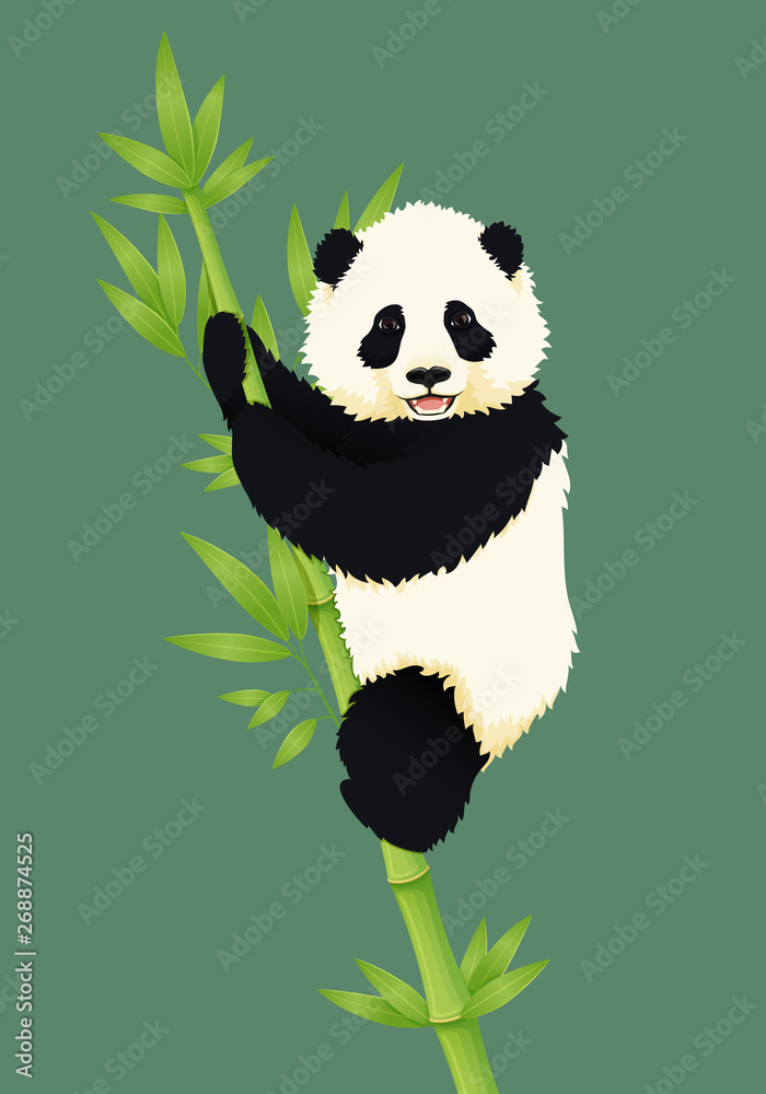 Giant Panda Climbing Tree