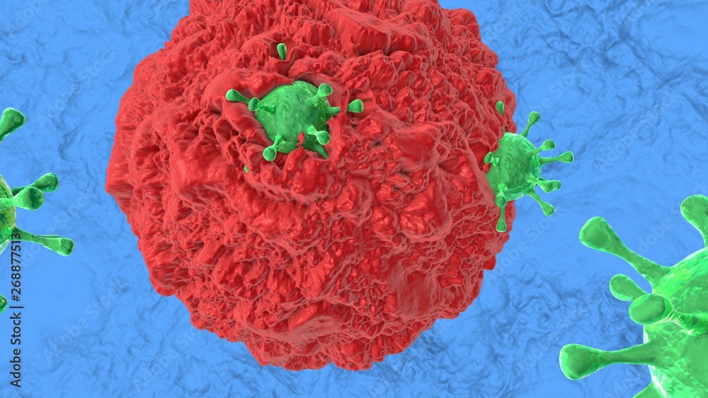 3d illustration of the absorption of viruses by immune cell in the ...