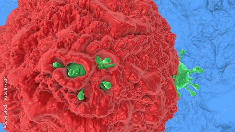 3d illustration of the absorption of viruses by immune cell in the ...