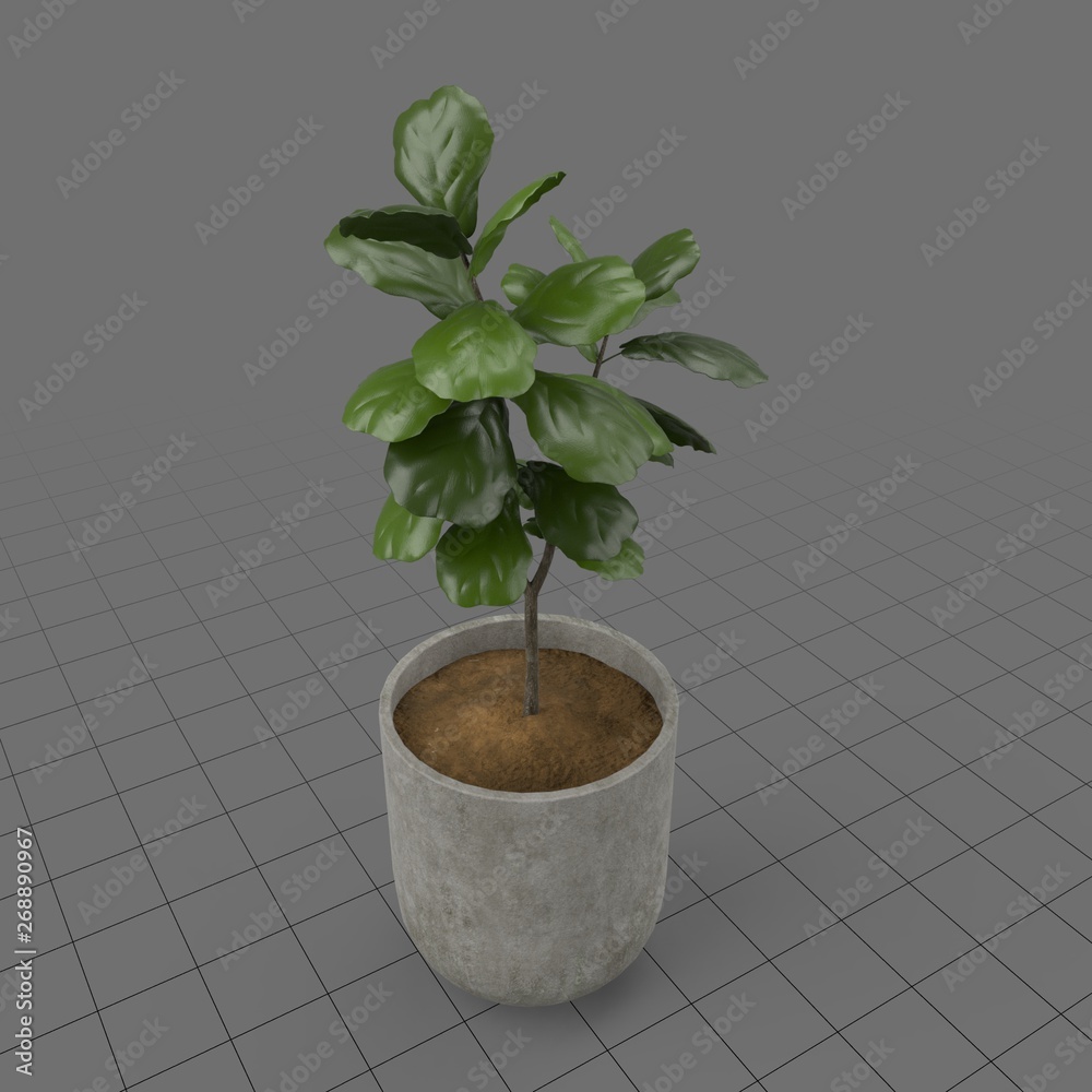 Plant in concrete planter Stock 3D asset | Adobe Stock