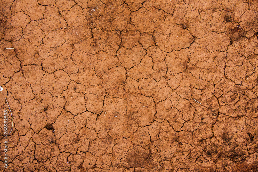 Dry land, Australian Desert, global warming, texture Stock Photo ...