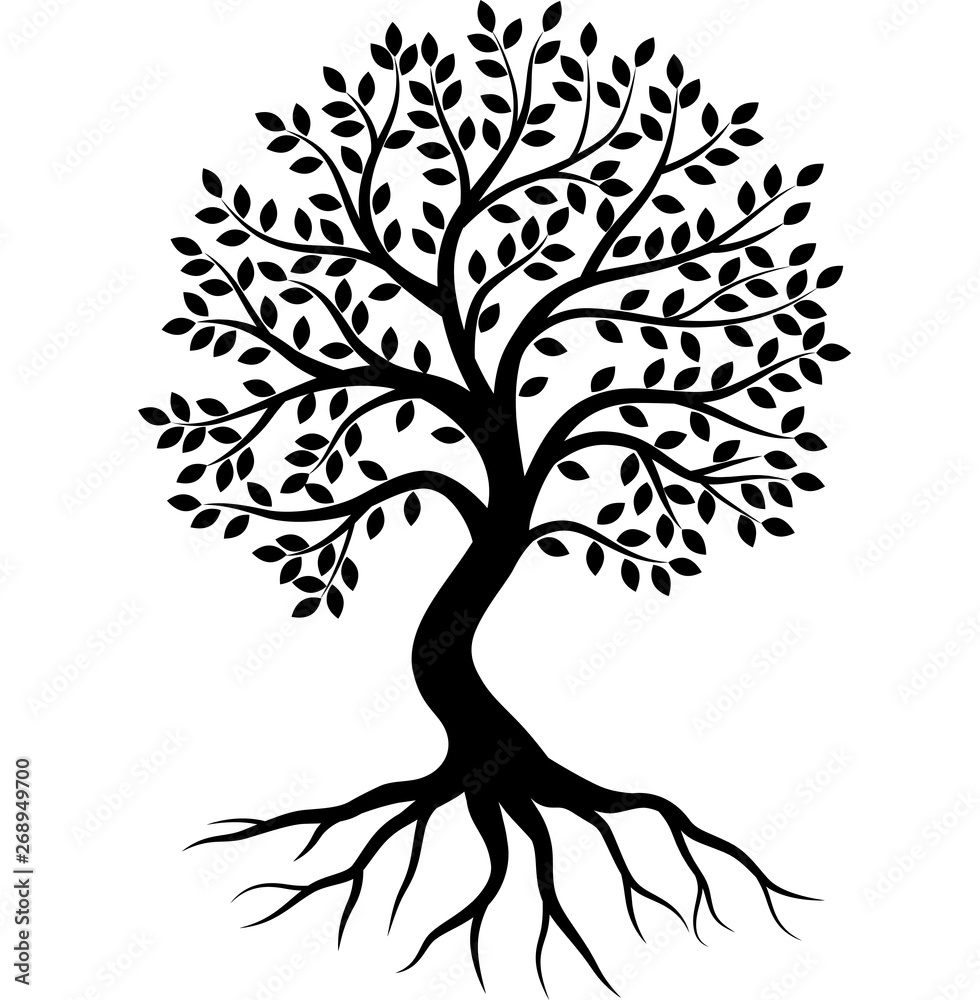 Photo Tree silhouette on white background, tigatelu | Posters, tableaux ...