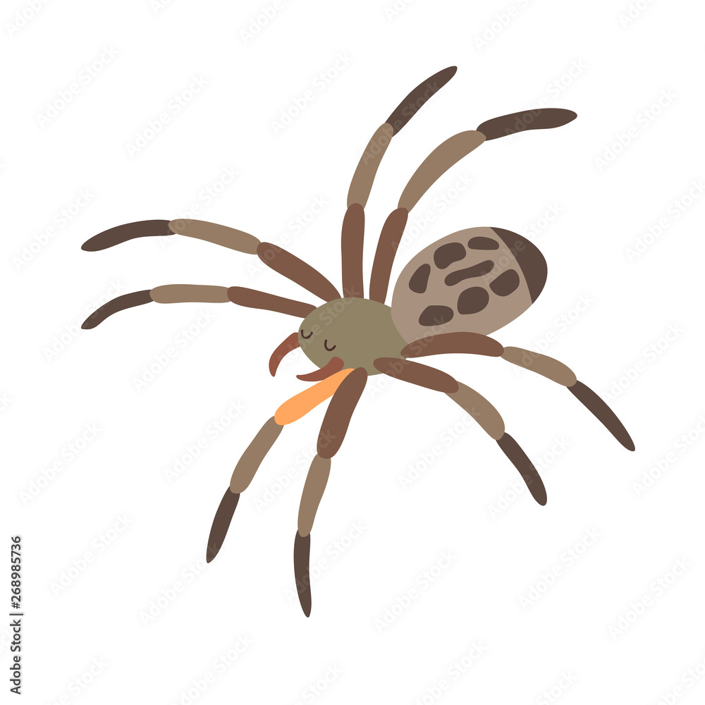 Camel spider icon vector illustration. Cartoon style partridge mammals ...