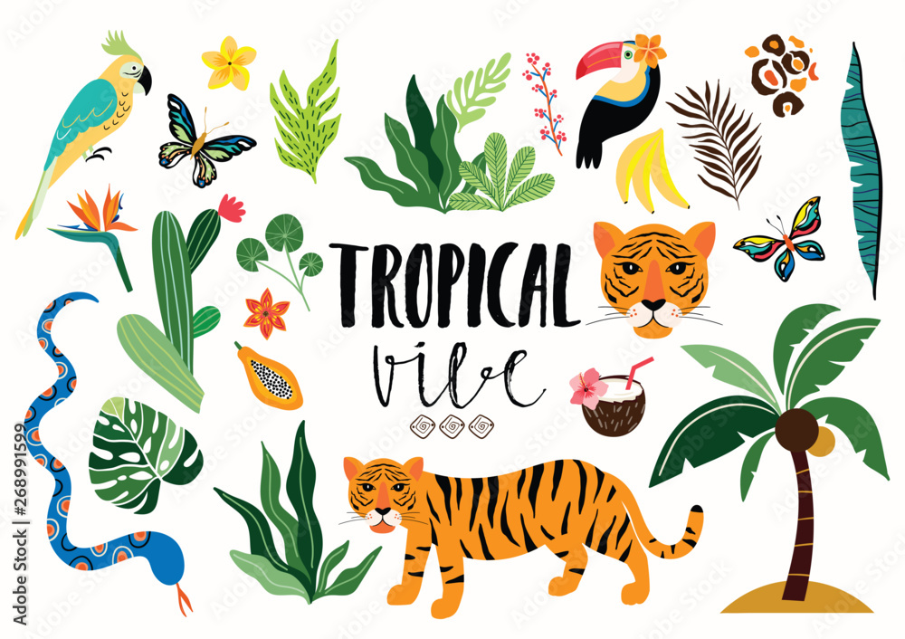 Tropical collection with different elements isolated on white Stock ...