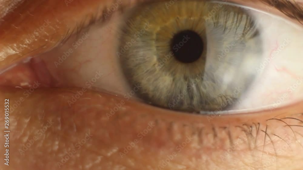 Vidéo Stock blinking male eye close-up looking around. red artery on ...