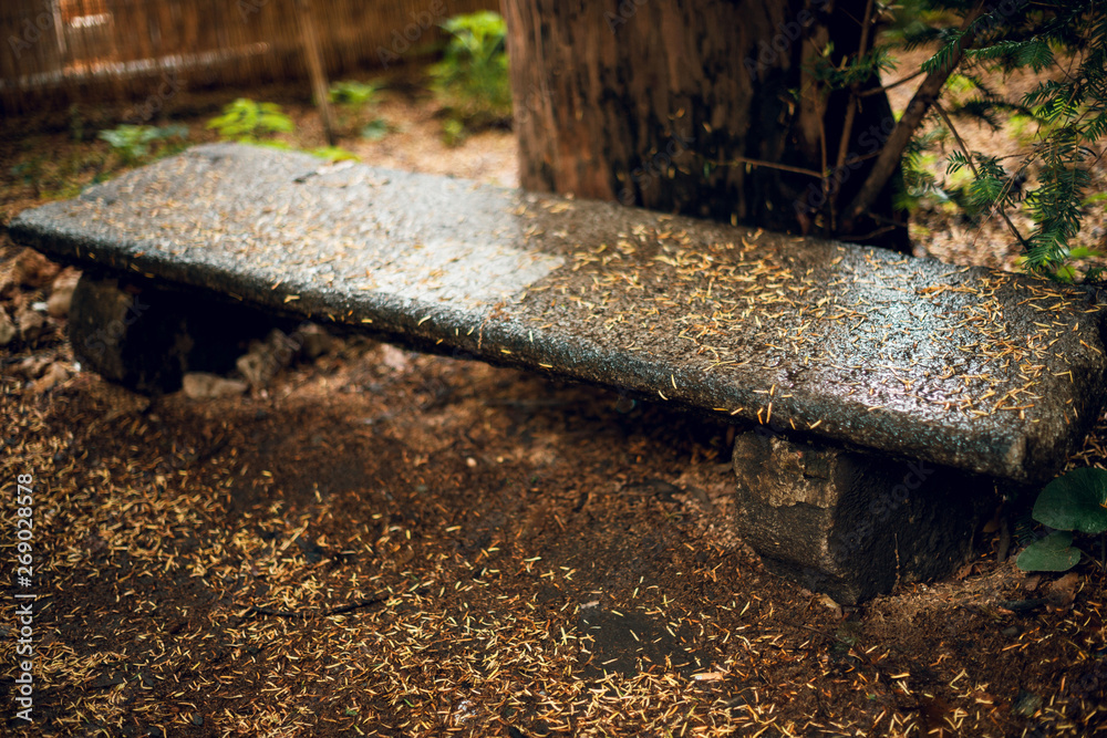 Old concrete garden bench after the rain in the park Stock Photo ...