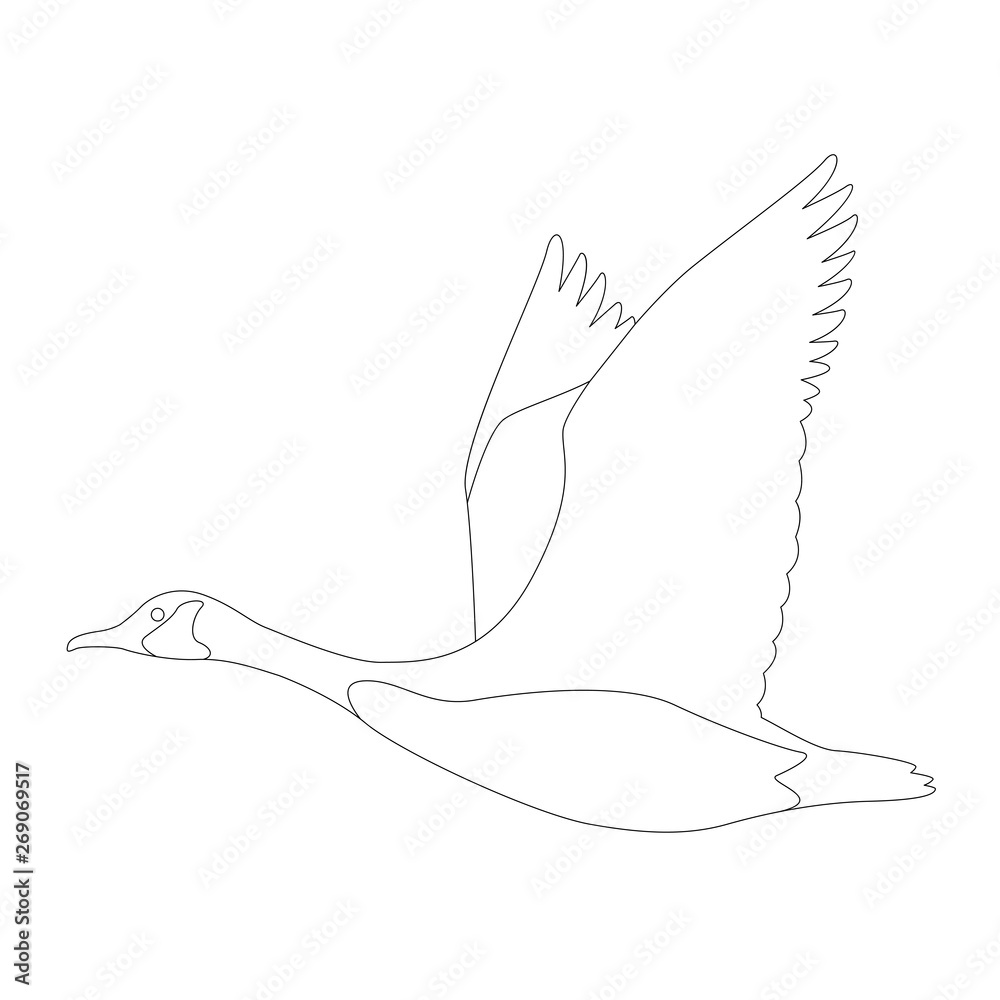 goose canadian, .vector illustration,lining draw ,profile Stock Vector ...