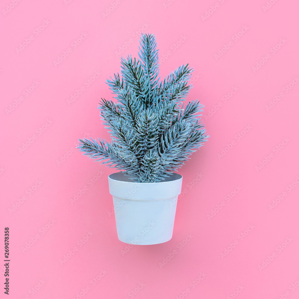 Cute pine tree in pot on pink background.merry christmas and winter ...