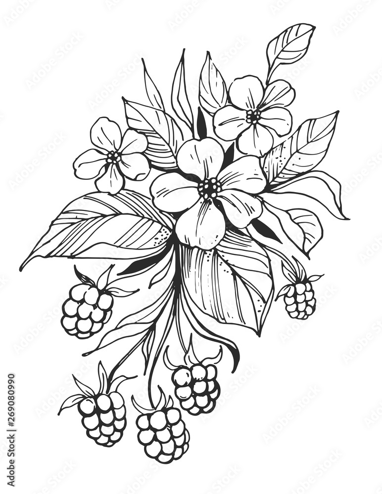 Blackberries Outline