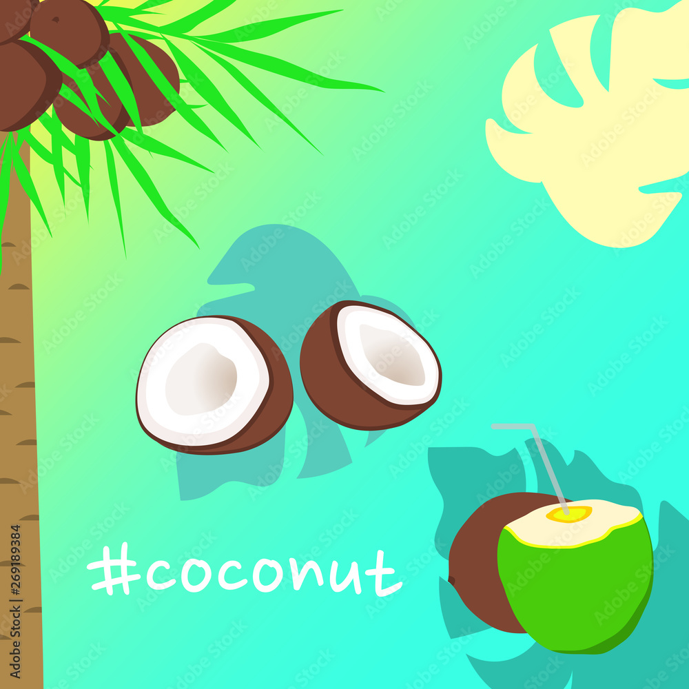 Vector exotic background with coconut and tropical leaves. Colorful ...