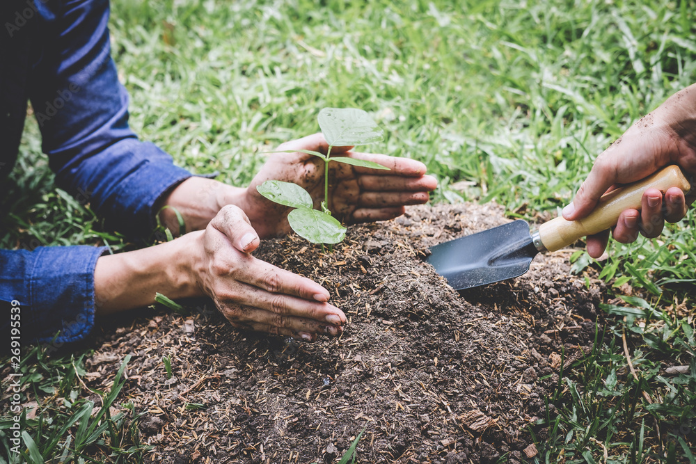 World environment day reforesting, Hands of young man helping were ...