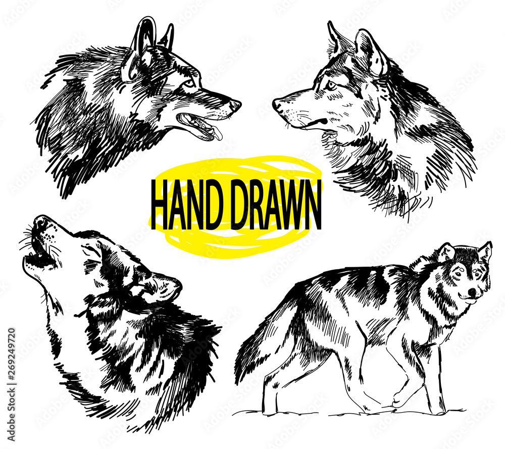 Drawing Of Wolves In The Wild