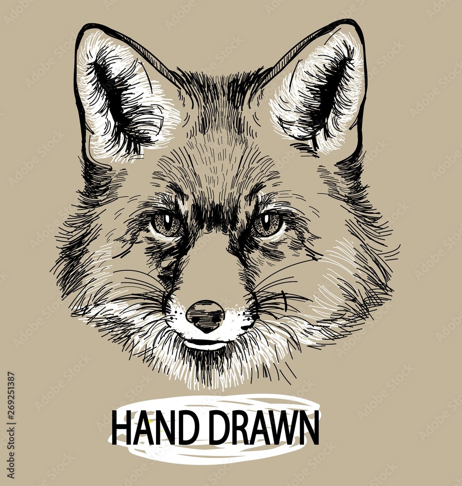 Fox. Professional drawing in vintage style. Cute fluffy fox. Arctic fox ...