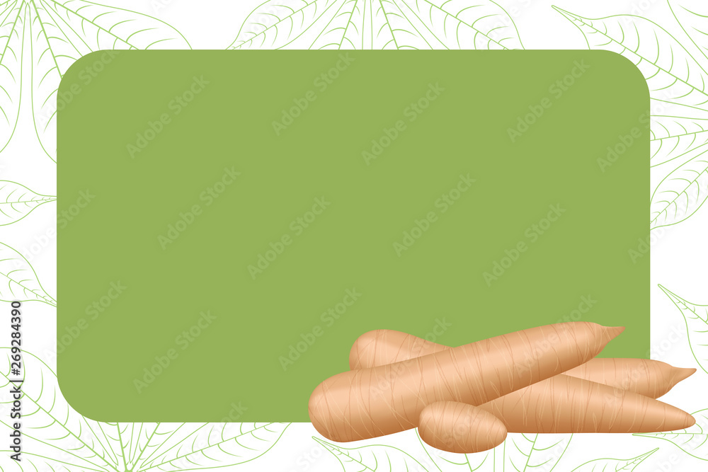 banner frame of cassava fresh for copy space, cassava cut slice for ...