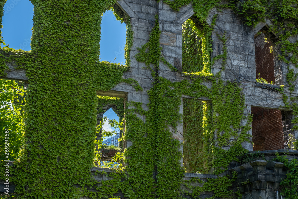 Roosevelt Island Smallpox Hospital Ruins Stock Photo | Adobe Stock
