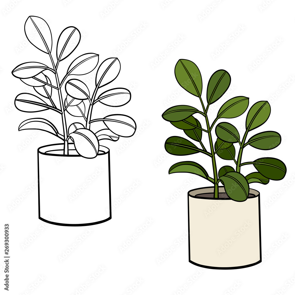 A picture of a house plant in a planter. Vector outline illustration ...