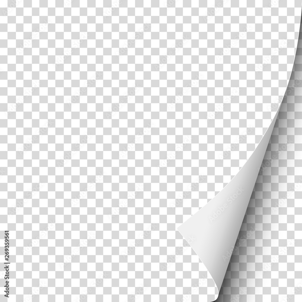 Sheet of transparent paper with curled lower right corner. Vector paper ...