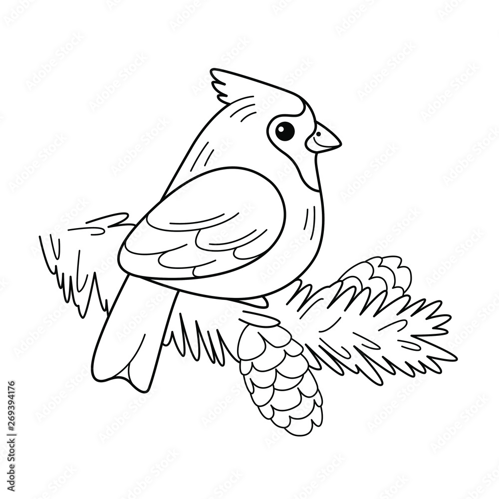 Red cardinal sat on branch - сute cartoon character, vector ...