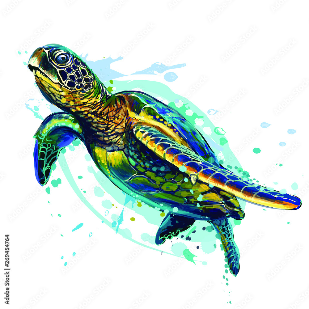 Sea turtle. Realistic, artistic, colored drawing of a sea turtle on a ...