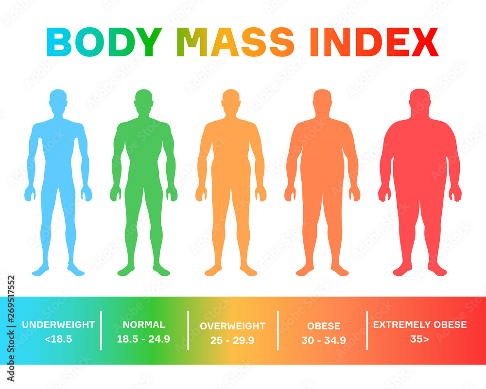 Male Body Type Chart Stock Vector. Illustration Of Mass – FUPH