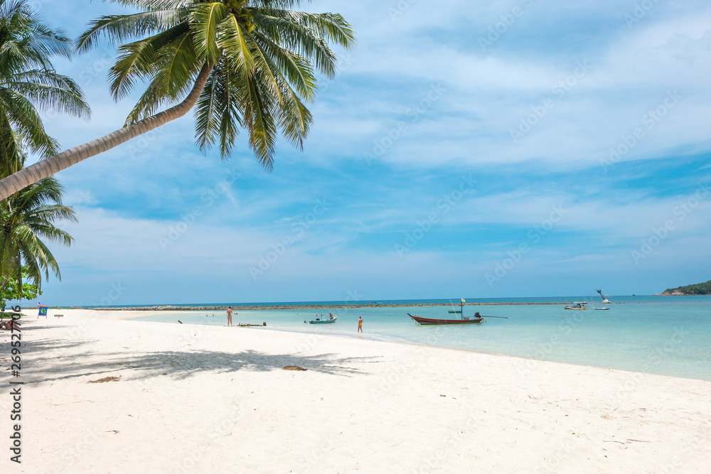 Beautiful beach landscape from Phangan island of Thailand. Palm trees ...