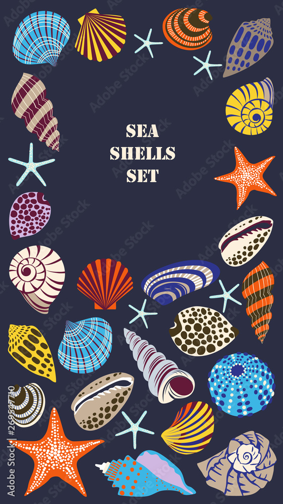 Shell collection - vector silhouette illustration Stock Vector | Adobe ...