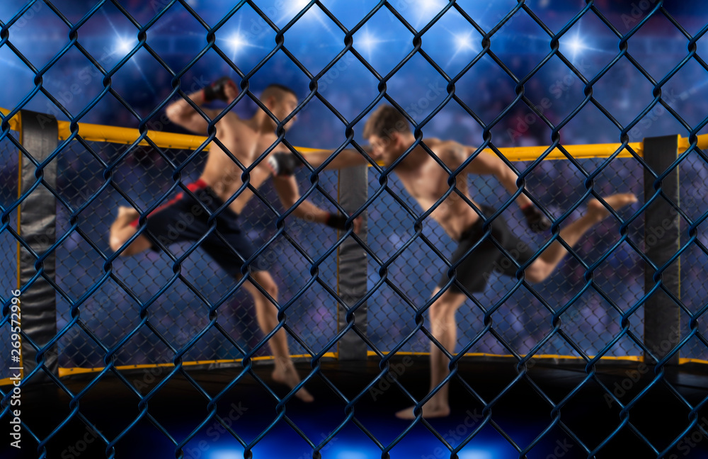 MMA boxers fighters fight in fights without rules Stock Photo | Adobe Stock