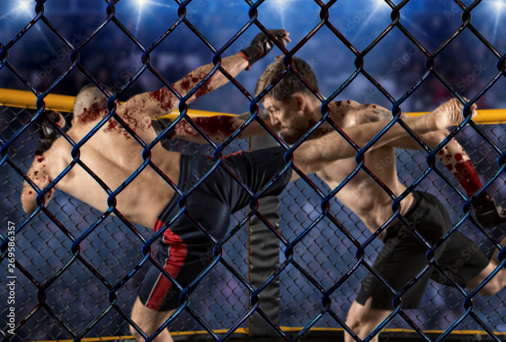 MMA boxers fighters fight in fights without rules Stock Photo | Adobe Stock