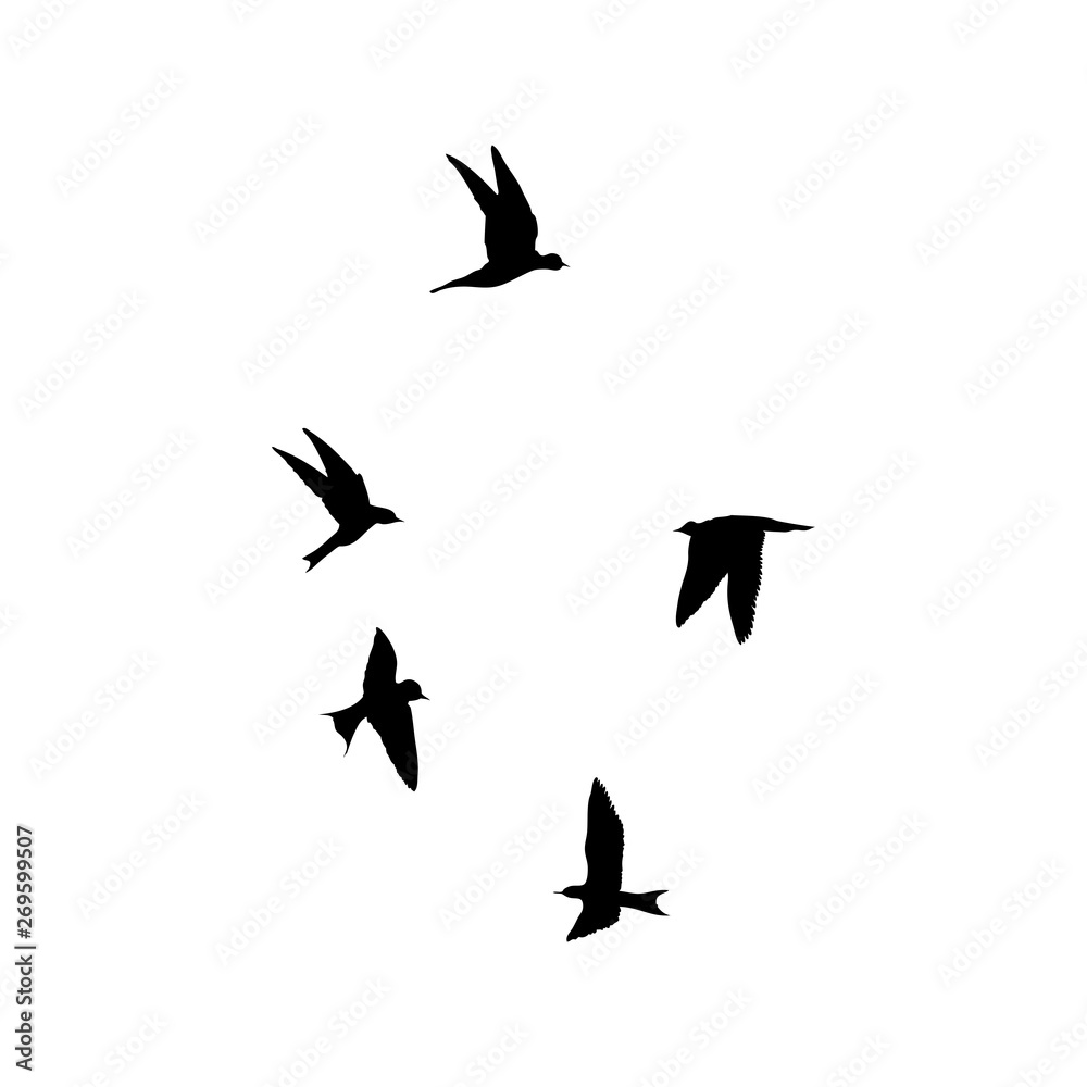 Flying Birds Silhouette Tumblr