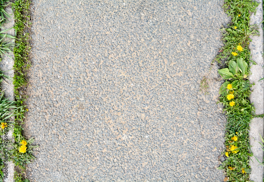 Texture of rough asphalt road with grass and flowers of Dandelion at ...