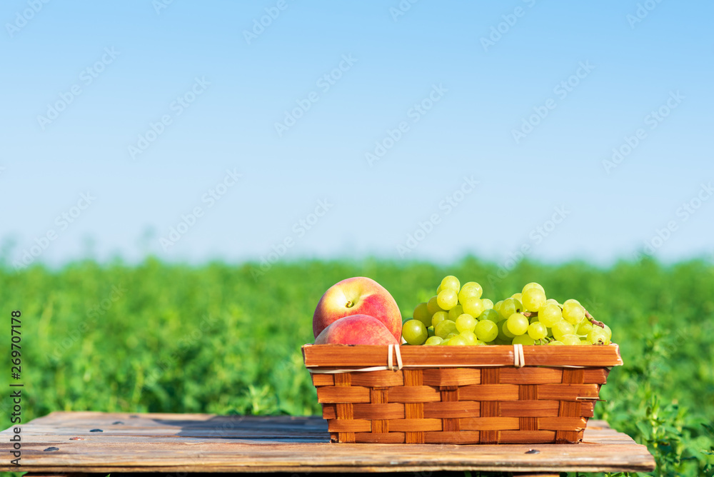 Shavuot: Festival of First Fruits habikkurim. Grapes and peaches on ...