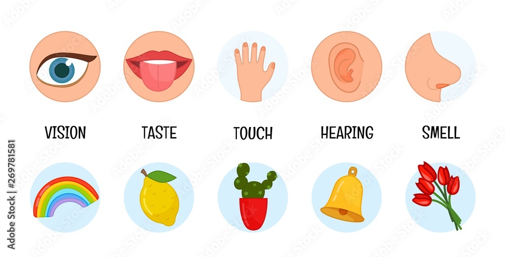 Five senses illustrations. Vision, taste, touch, smell, hearing. Stock ...