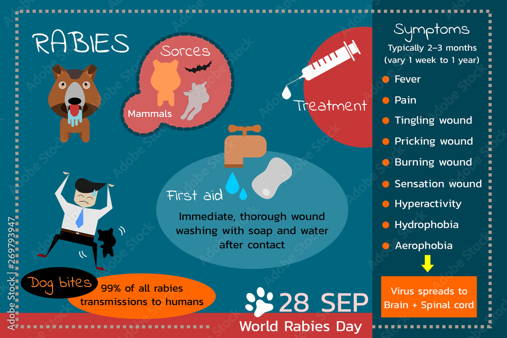 Rabies cartoon infographics , vector illustration Stock Vector | Adobe ...
