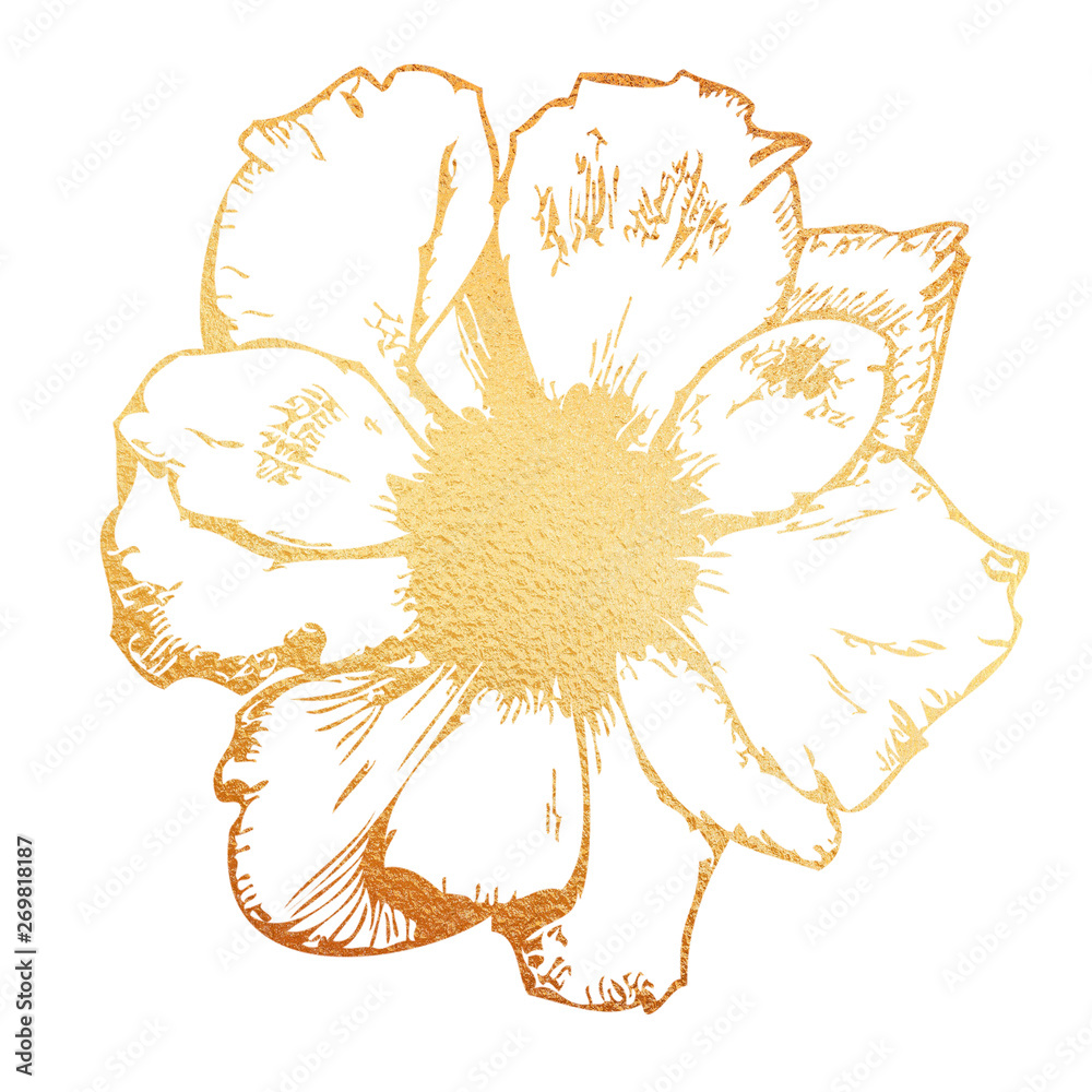 Gold flower hand drawn illustration on white background Stock ...