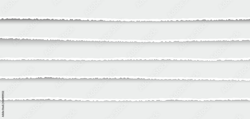 Set of Ripped and Torn Paper Stripes. Texture of Paper with Damaged ...