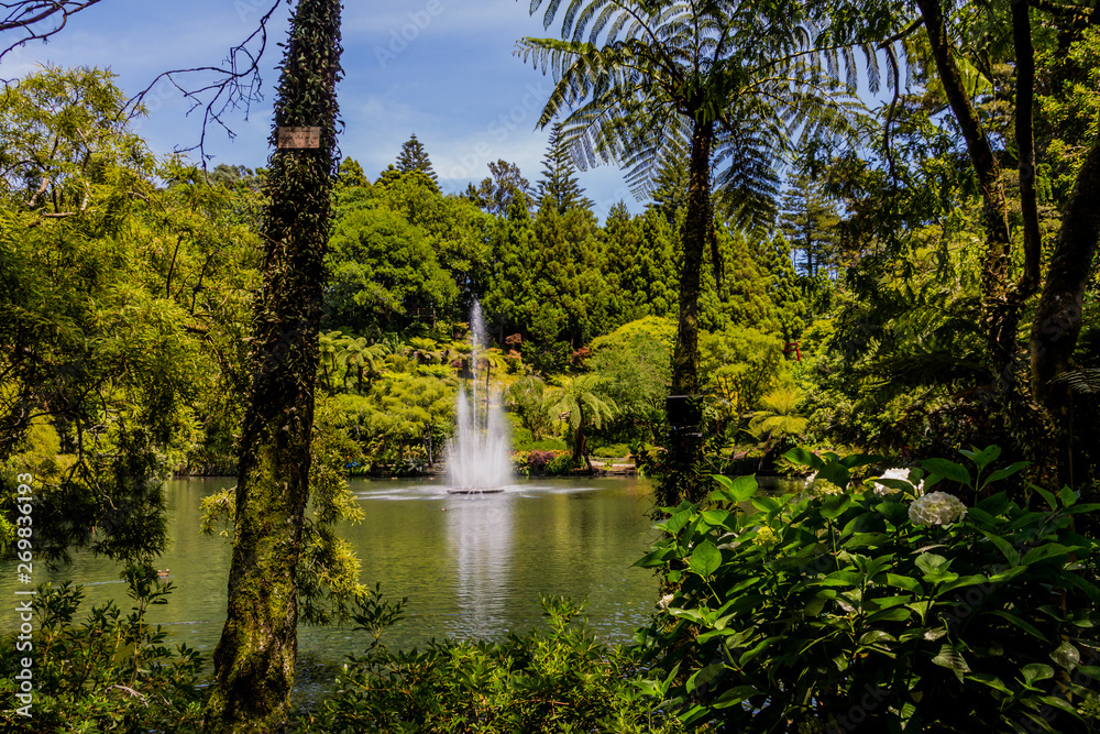 Queen Elizabeth II fountain shows off in the pond, Pukekura Park, New ...